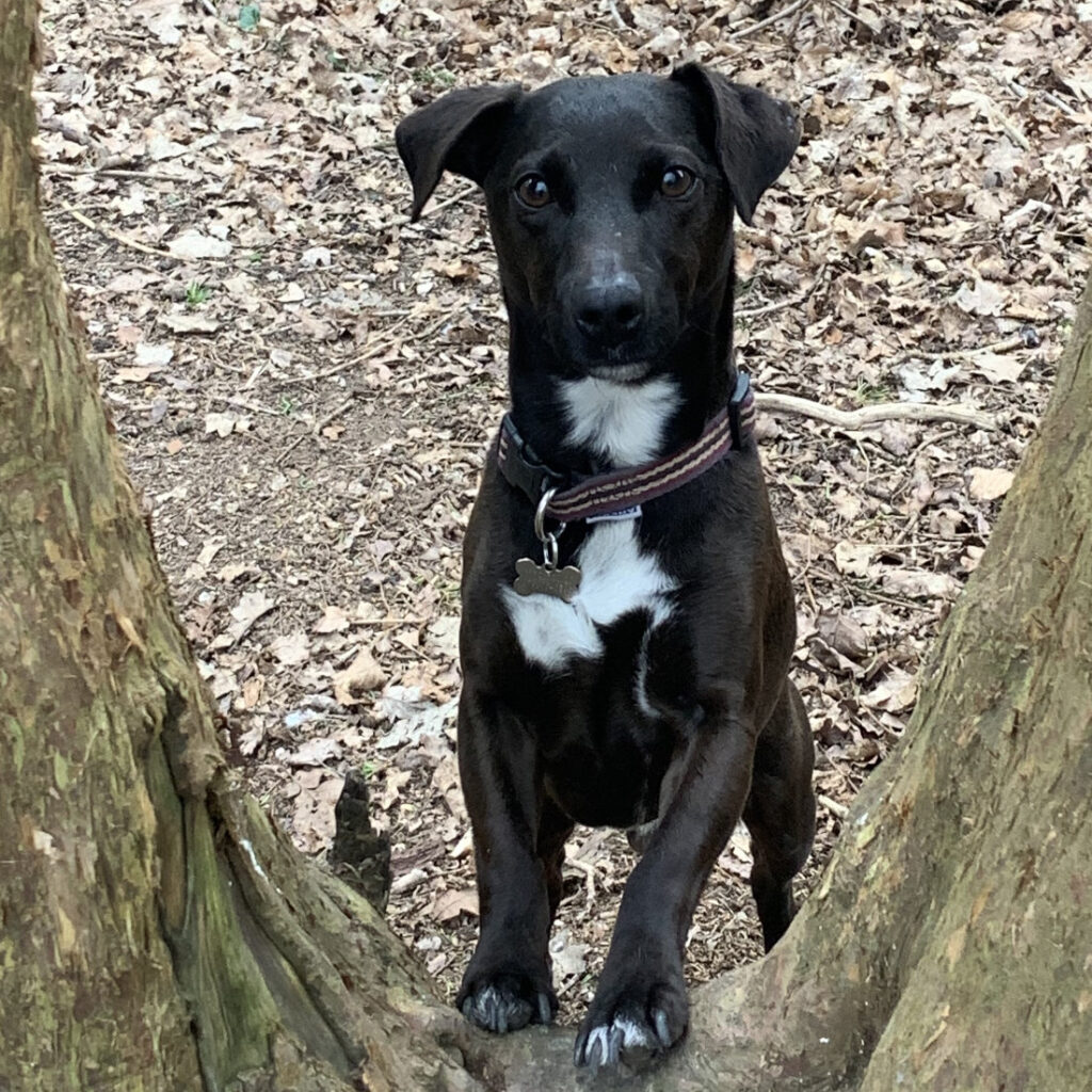 Evolox® | N2 (UK) Ltd