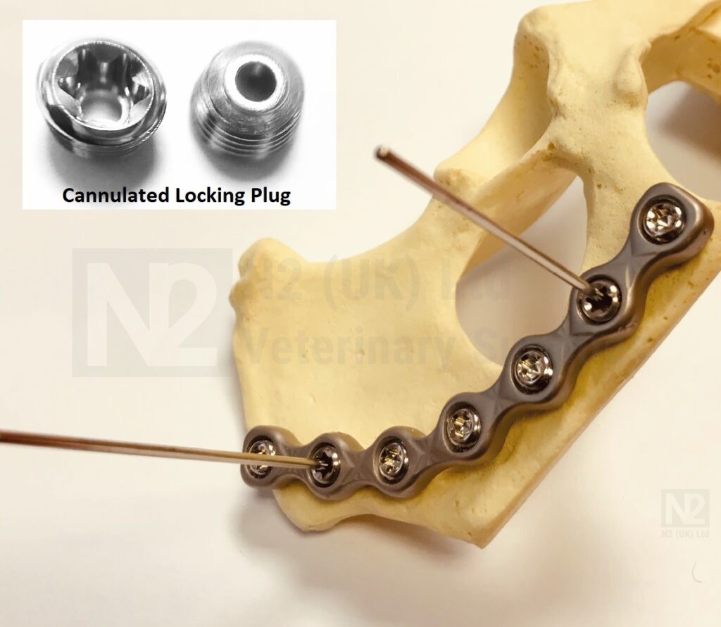 Locking Plugs | N2 (UK) Ltd